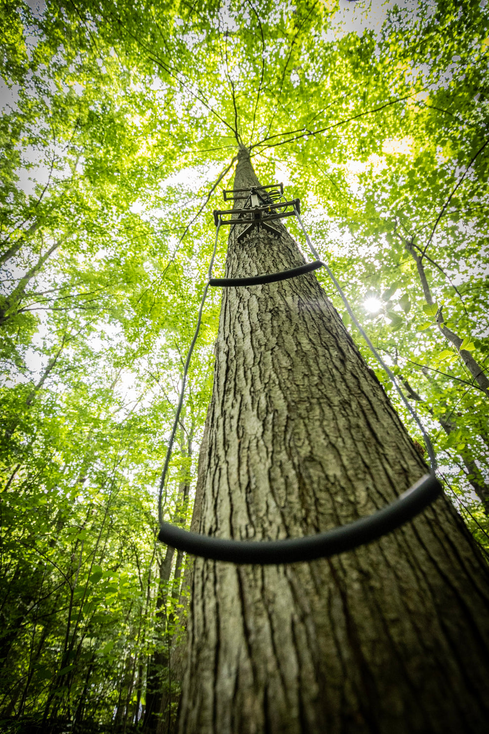 Double Step Aider for Double Steps Sticks – The Amsteel Guy