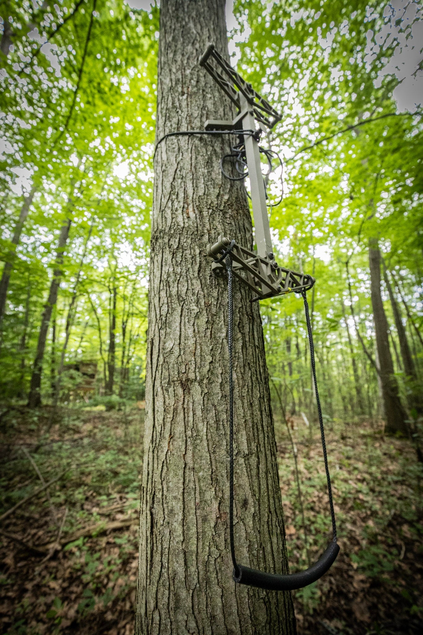 Single Step Aider for Double Steps Sticks – The Amsteel Guy