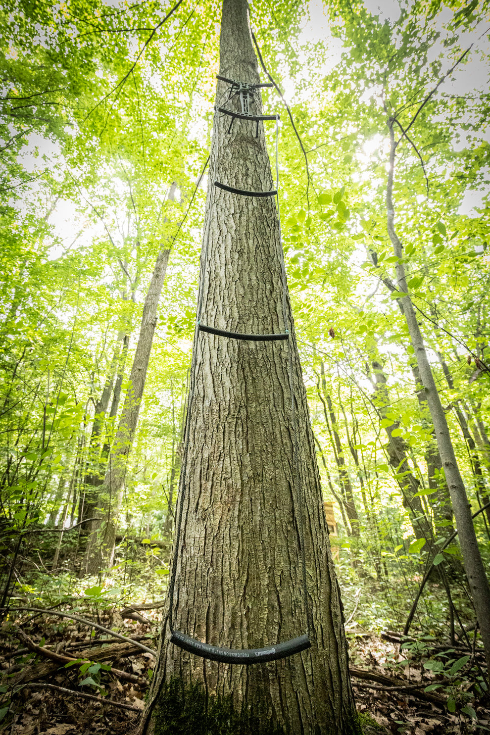 Triple Step Aider for Double Steps Sticks – The Amsteel Guy