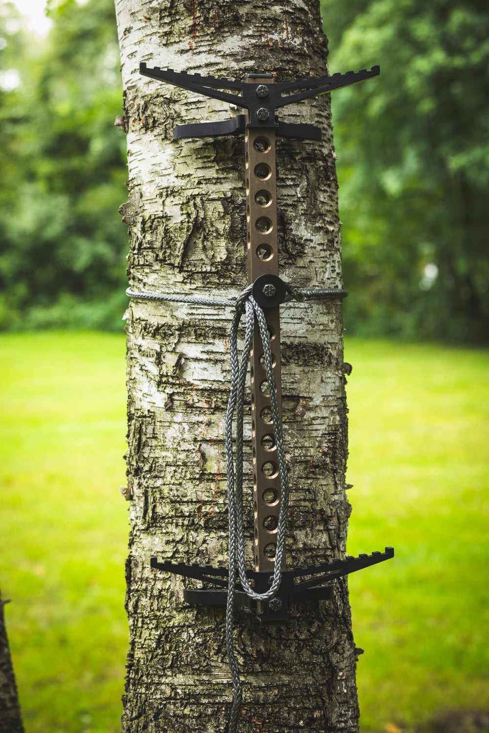 USA Series – The Amsteel Guy